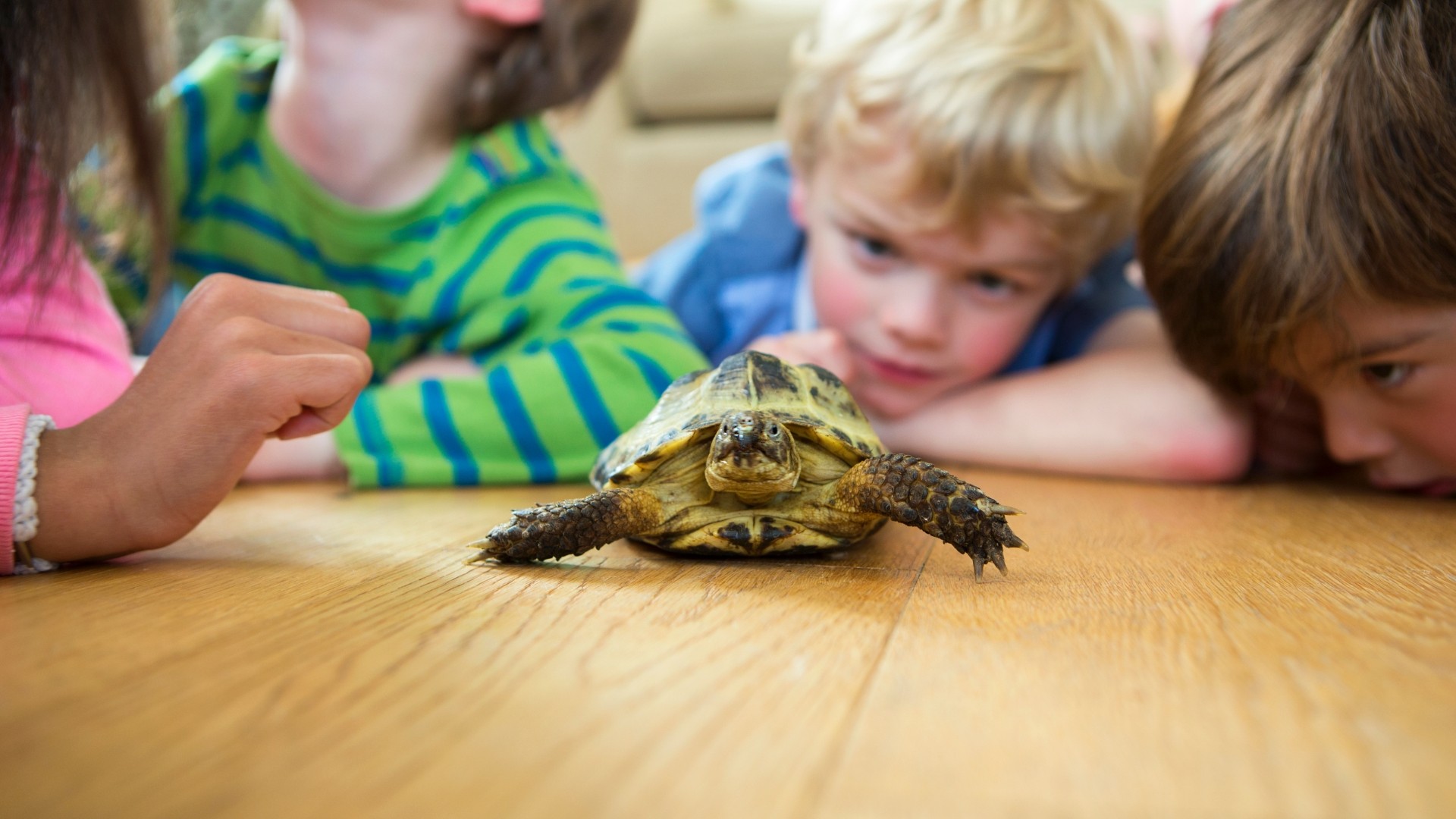 Unveiling Insights: Jean Piaget's Remarkable Observations of Children ...